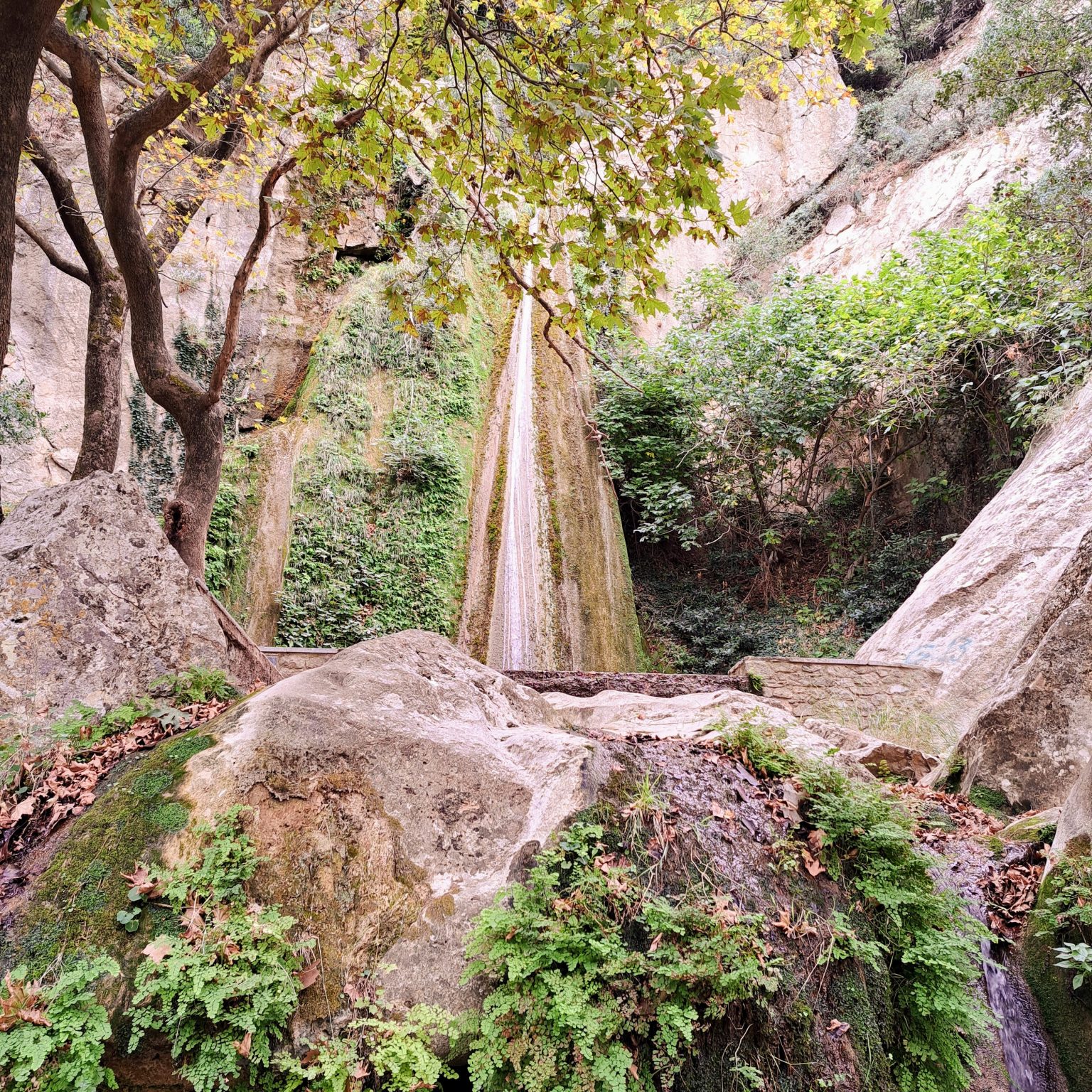 Στις πλαγιές του Ελικώνα: πεζοπορική διαδρομή και επίσκεψη στους ...